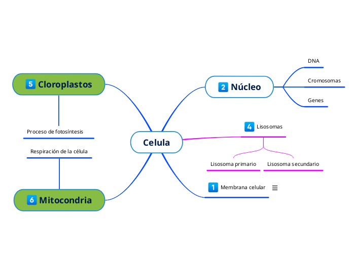 Celula - Mind Map